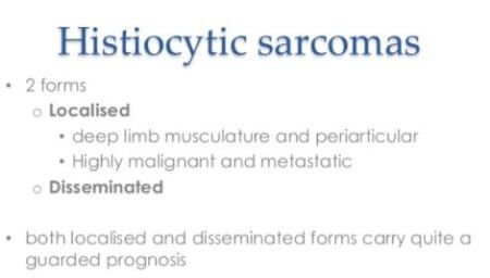 Histiocytic Sarcoma (Dogs) - Prognosis, Treatment, Diagnosis & Causes